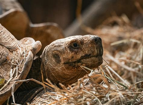 Лучшие фото 200 000 по запросу «Обои Для Рабочего Стола Ноутбука · Скачивайте совершенно