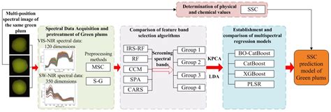 Prediction Of Solid Soluble Content Of Green Plum Based On Improved