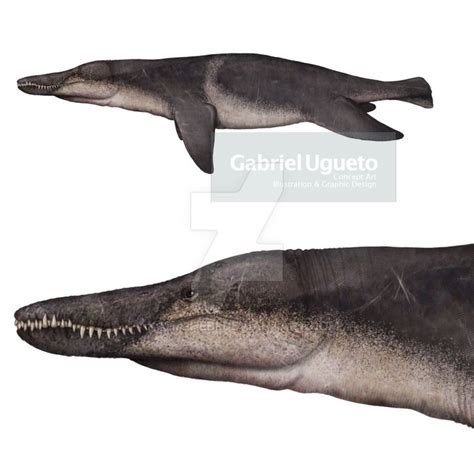Pliosaurus Patagonicus Pré História Animais Extintos Animais
