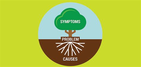 Find The Root Of The Problem Adventure Park Insider