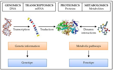 Proteomics And Metabolomics In Aortic Stenosis Studying Healthy Valves