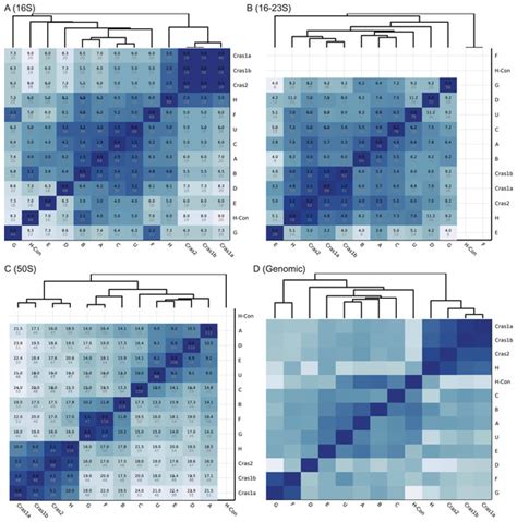 Clasnip A Web Based Intraspecies Classifier And Multi Locus Sequence