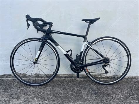 캐논데일 슈퍼식스 에보 카본 울 당근 중고거래