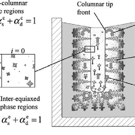 Schematic Of The Mixed Columnar Equiaxed Solidification In An Ingot Download Scientific Diagram