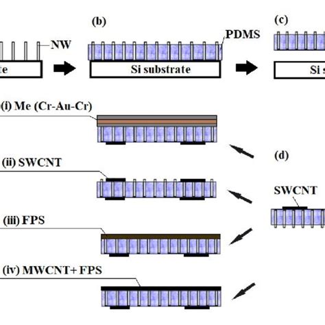 Pdms St And Cross Linking Cross Linking System Of Pdms St Consists In