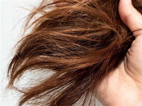 Як доглядати пористе волосся щоб воно не пушилося і красиво лежало