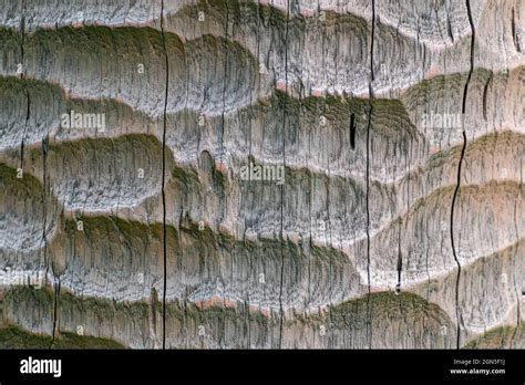 Wooden Surface With Chisel Grooves Chisel Wood Texture Pattern Stock