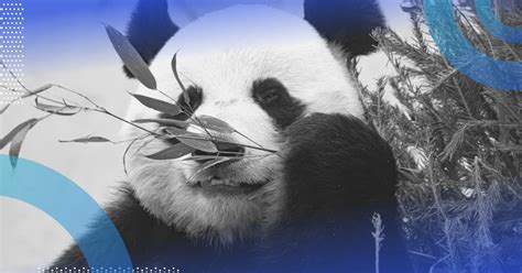 Pandas Filter Methods To Know Built In