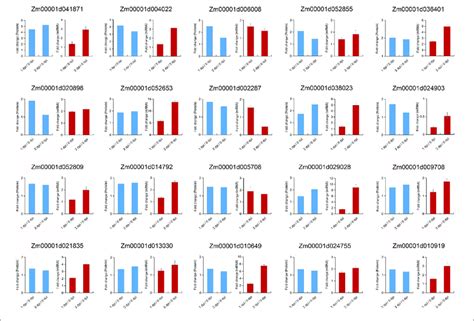 Correlation Between Proteomics And Quantitative Real Time Pcr