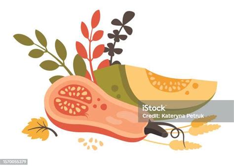반 호박 조각과 단풍 밀로 얇게 썬다 잘 익은 수확 야채입니다 건강에 좋은 음식 가을 디자인 좋은 영양 농업 수확 추수 감사절에 대한 벡터 그림 10월에 대한 스톡 벡터