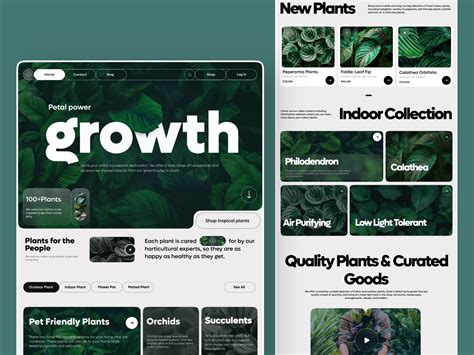 Plant Shop Landing Page🌱 By Zahra Mohammadi For Pela Design On Dribbble