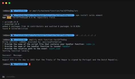 developing and testing graphql apis storage and functions with amplify framework local mocking