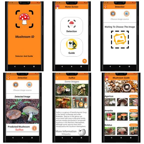 GitHub Hbfawaz112 Mushroom Detector Flutter ML App Used To Detect