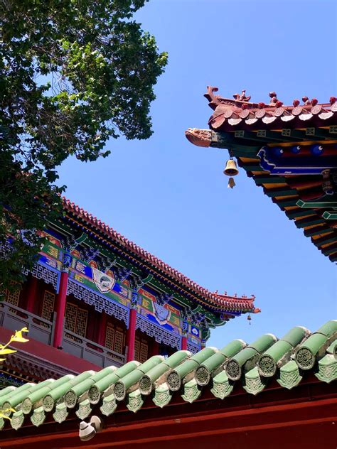 Китайский язык для взрослых