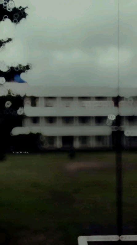 ᴄᴀᴍᴩᴜꜱ ʙᴜᴢᴢ ᴍɪᴛ Campusbuzz • Instagram Photos And Videos