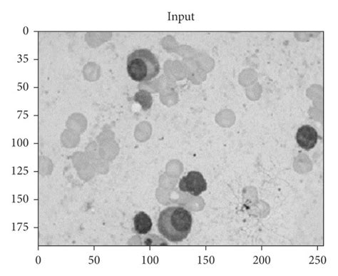 Datasets Samples Predicted A Input Image B Ground Truth Image