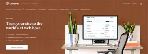 economy linux hosting with cpanel from godaddy 2022