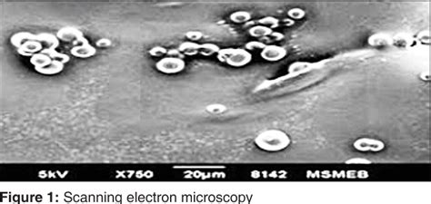 Figure 1 From Design And Characterization Of Microsponge Loaded Controlled Release Epicutaneous