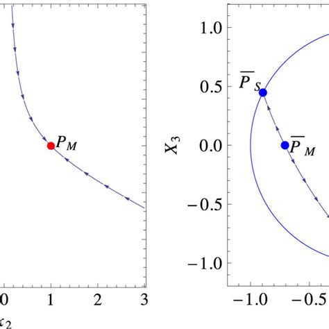 The Phase Portrait For Static Vacuum In Both Finite And Infinite Download Scientific Diagram