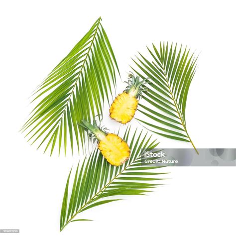 파인애플 과일 및 팜 흰색 바탕에 나뭇잎 평면 위치 최고 볼 수 있습니다 열 대 개념입니다 0명에 대한 스톡 사진 및 기타 이미지 Istock