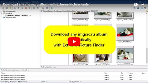 Download Albums