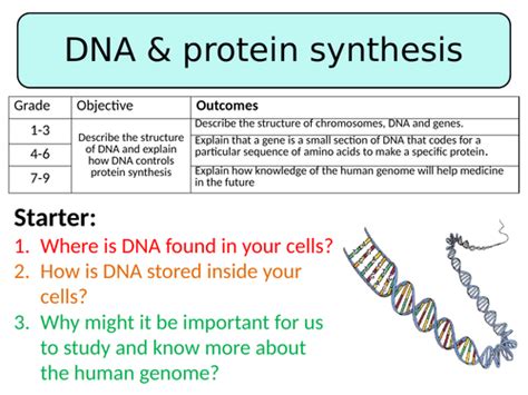 New Aqa Gcse Biology Inheritance Variation And Evolution Lessons Teaching Resources