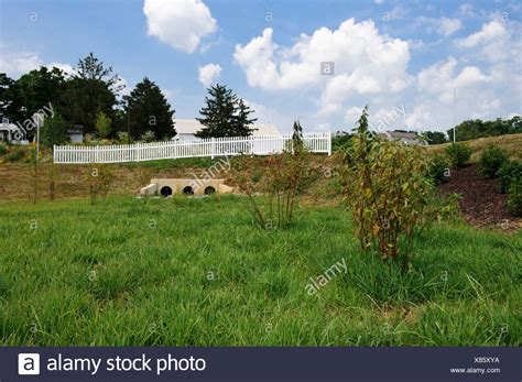 Bioretention Basin High Resolution Stock Photography And Images Alamy