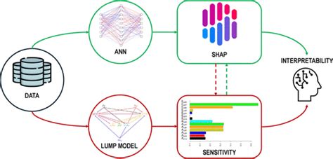 Methodology For The Interpretation Of A Neural Network Model In Comparison To A Physical Model