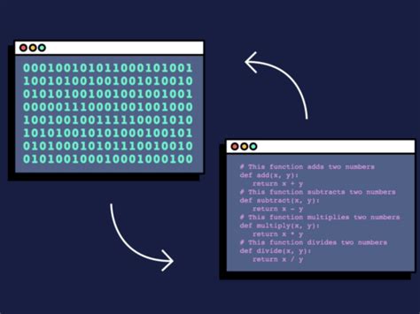 html and css basics freebootcamp
