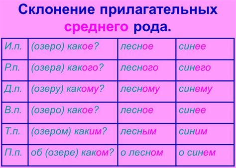Склонение имён прилагательных среднего рода в форме единственного числа — урок Русский язык 4