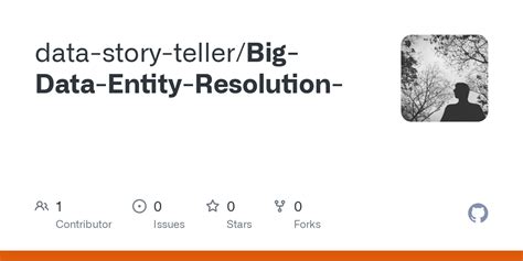 github data story teller big data entity resolution