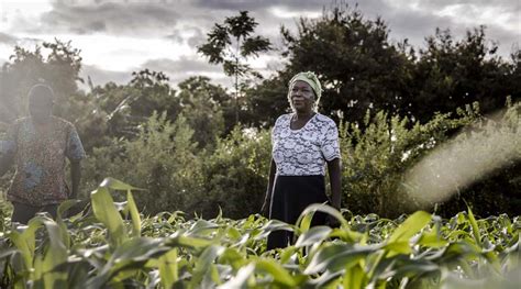 Womens Equality In Agrifood Systems Could Boost The Global Economy By