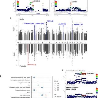 Sex Differences In The Genetic Regulation Of Gene Expression In Human Download Scientific