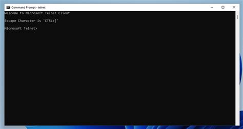 What Is Telnet Ionos