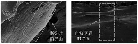 一种荧光响应的自愈性水凝胶及其制备方法与流程 2