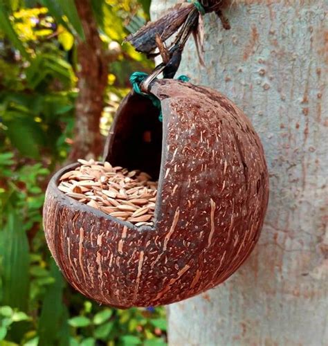 Поделки из кокоса: 7 лучших идей - 33 Поделки | Shell crafts diy ...