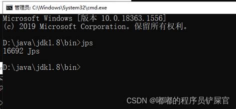 Java基础jdk命令行工具jpsjstatjinfojmapjhatjstackjmap Histo Pid Csdn博客