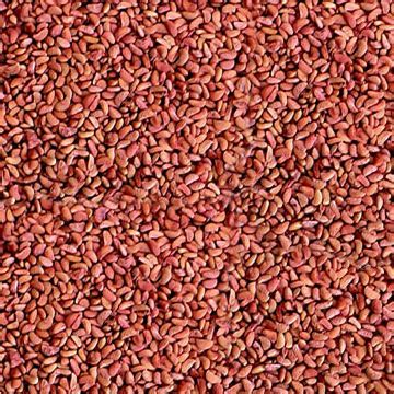 Raspberry Seed Integrated Health Blog