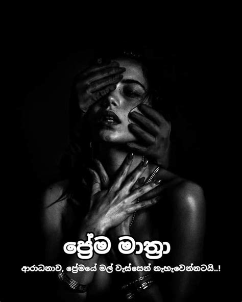Shyami ⚠️️කතෘ අයිතියකින් තොරව උපුටා ගැනීම සපුරා තහනම් ⚠️️