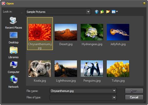 The Vcl Styles Utils Project Now Is Hosted In Github The Road To Delphi