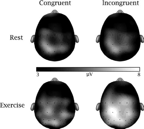 Topographic Maps Of The P Component As A Function Of Session And Task Download Scientific