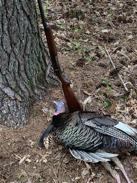 Is 14 Dollars A Round Worth It 24hourcampfire