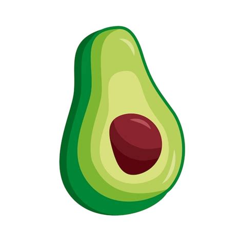 Premium Vector Avocado Vector