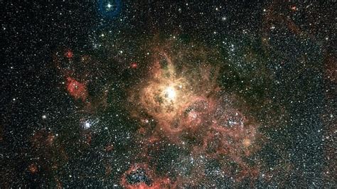 Nebulosa Tarantula Hd Overabundance Of Massive Stars In The Tarantula