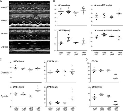 Err And Err Are Vital For Cardiac Contractile Function A