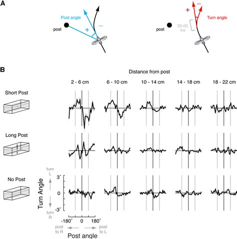 Figure 3 From A Simple Vision Based Algorithm For Decision Making In