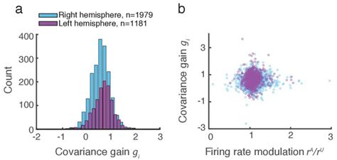 Figures And Data In Attentional Modulation Of Neuronal Variability In Circuit Models Of Cortex