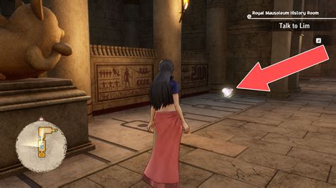 All 45 Robin Items Pieces Of Information One Piece Odyssey