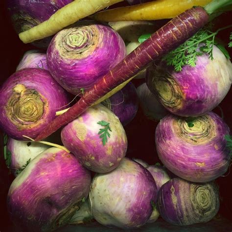 The Difference Between Turnip Vs Radish West Coast Kitchen Garden