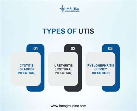 The Comprehensive Guide To Icd 10 Code For Uti In Healthcare Providers